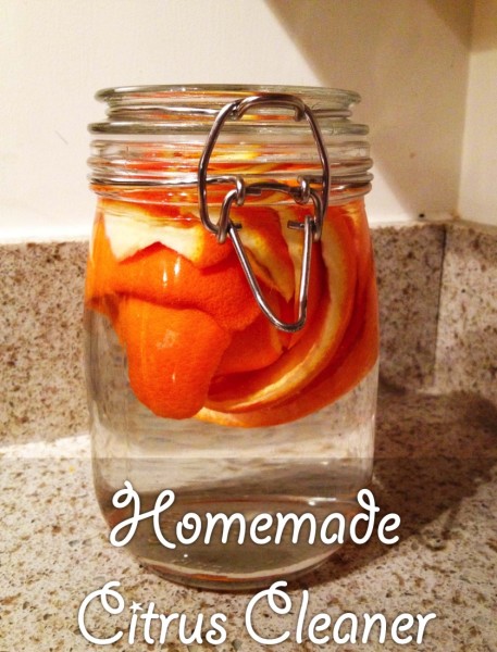 Homemade Citrus Cleaner ‹ Glitter Spice
