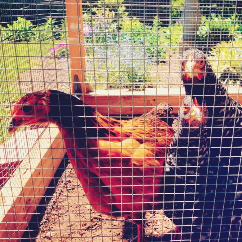 5 Fun Things to do in Cape Cod! ‹ Glitter Spice